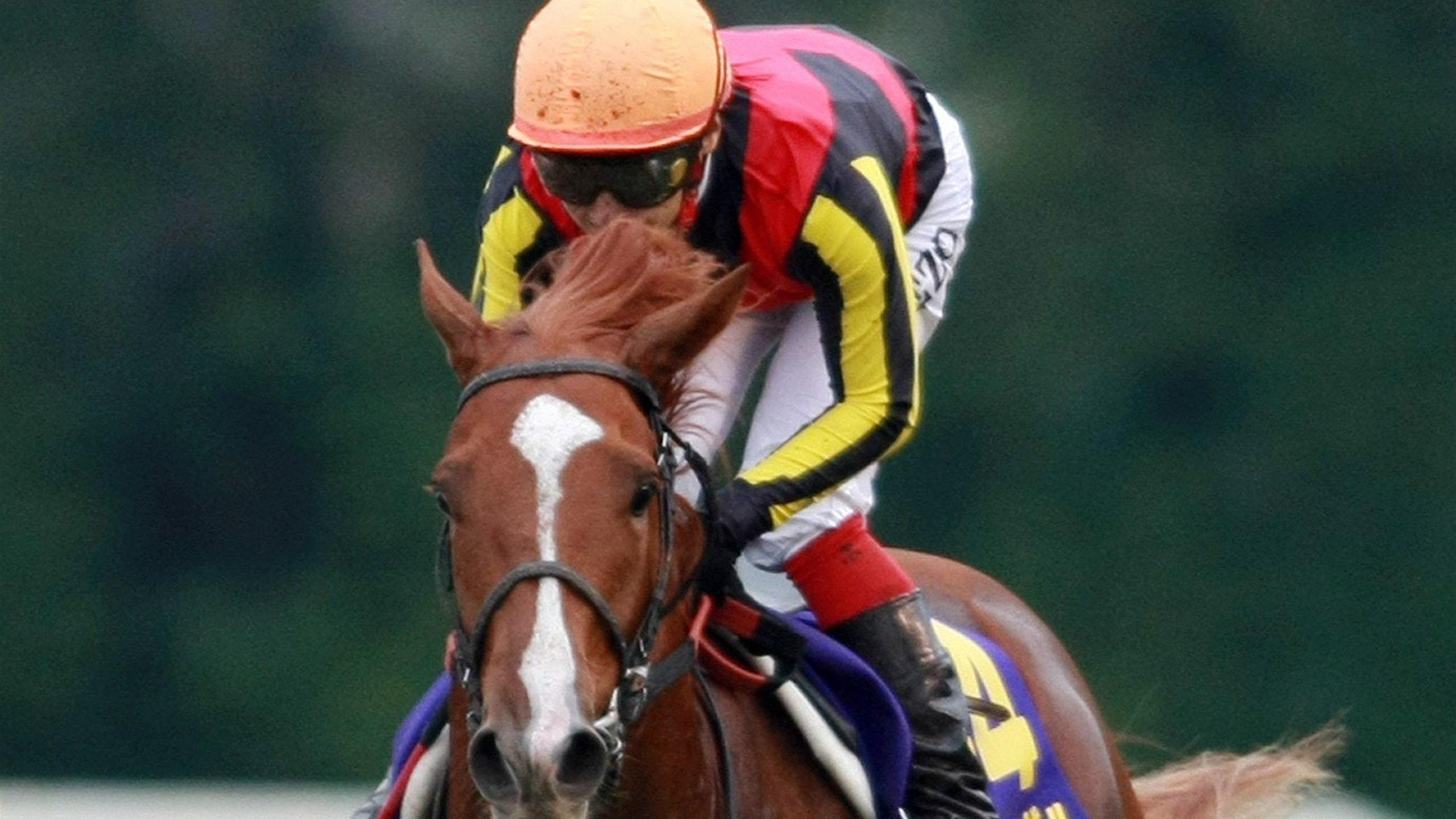 Orfevre und ganz Japan schauen nach Longchamp - Eurosport