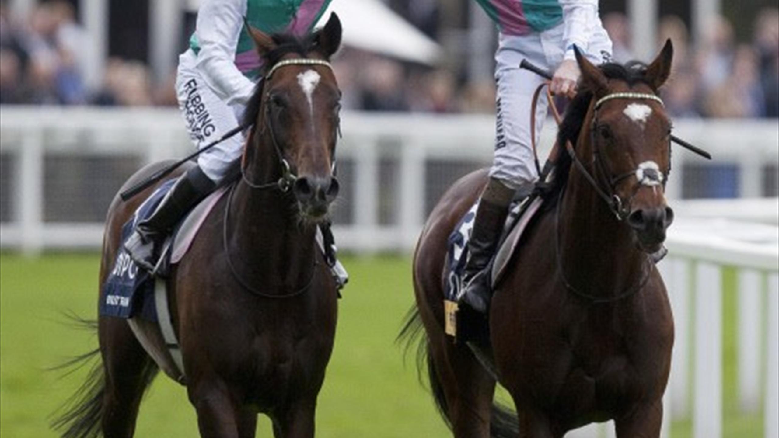 Zarkava/Frankel : l'union fera-t-elle la force ? - Eurosport