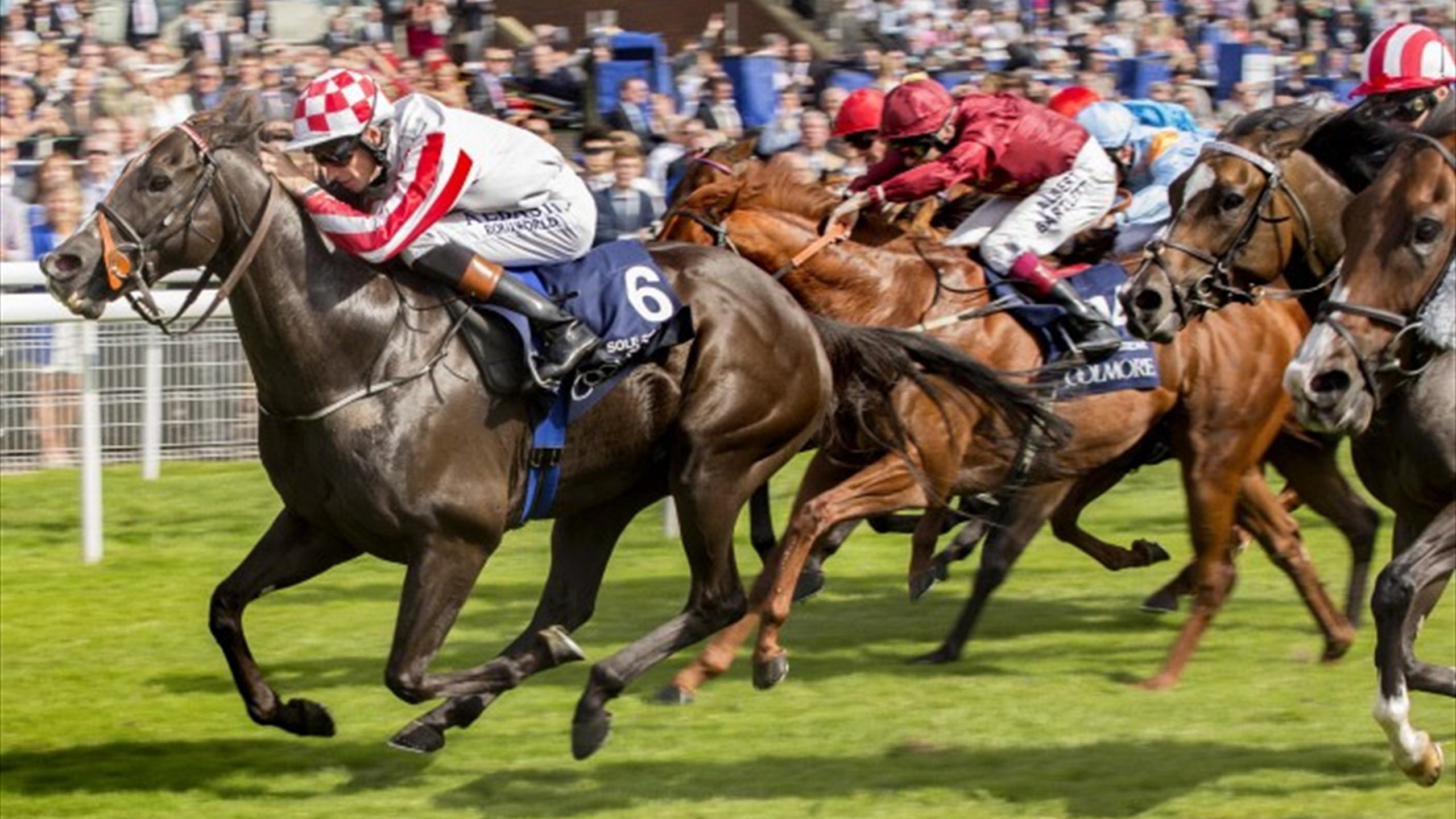 Al Quoz Sprint : Sole Power évidemment ! - Eurosport