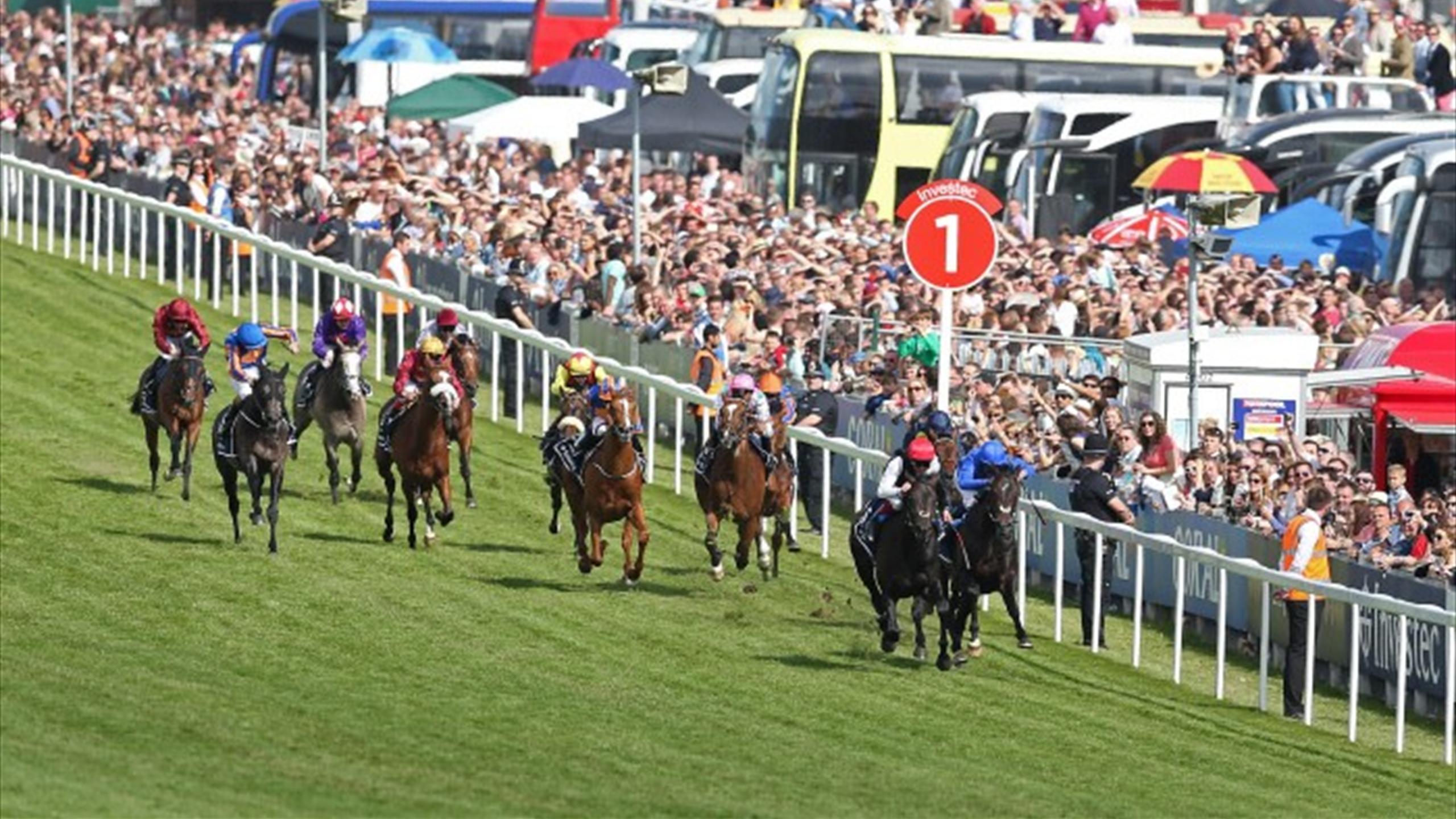 Irish Derby : ces places qui valent de l'or ! - Eurosport