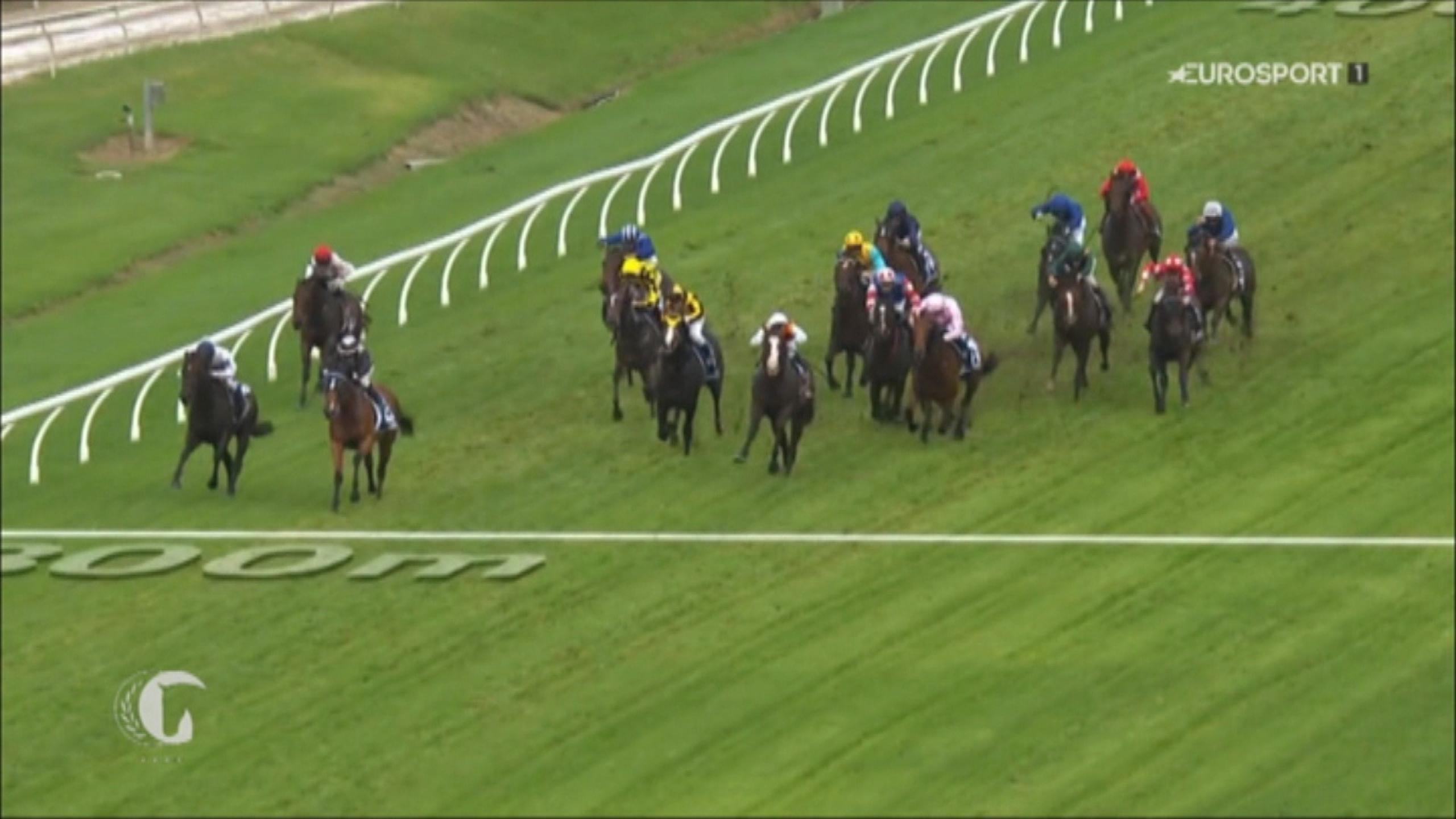 Horse Excellence: Longines Golden Slipper - Vidéo Course hippique ...