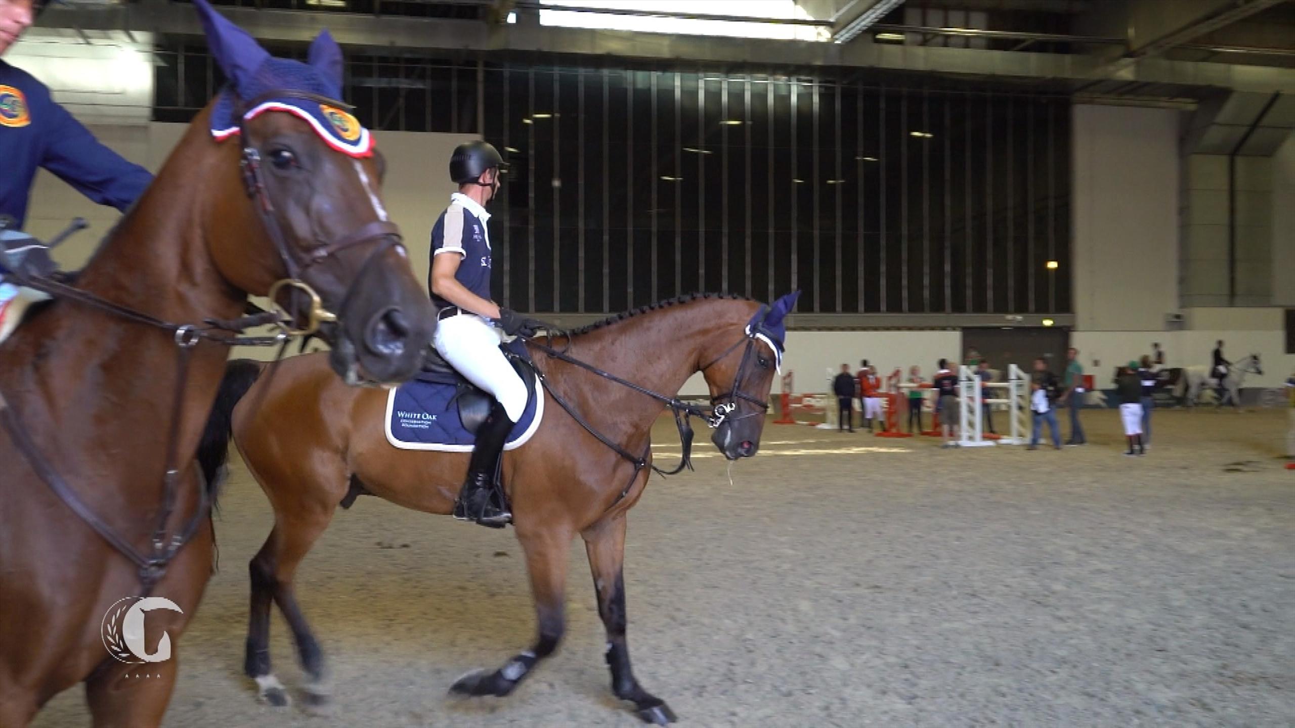 Horse Excellence - European Championships Preview - Equestrian video ...