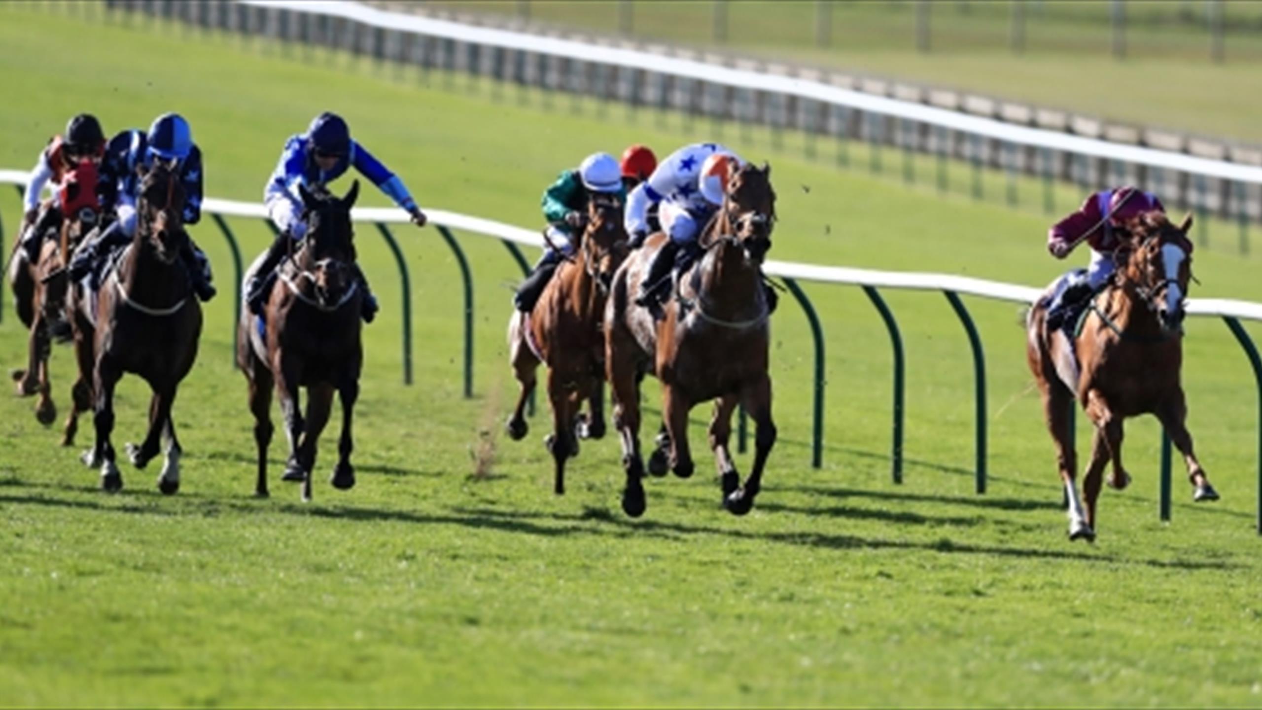 Victoria de Lobo’s Legend en Sudáfrica - Eurosport