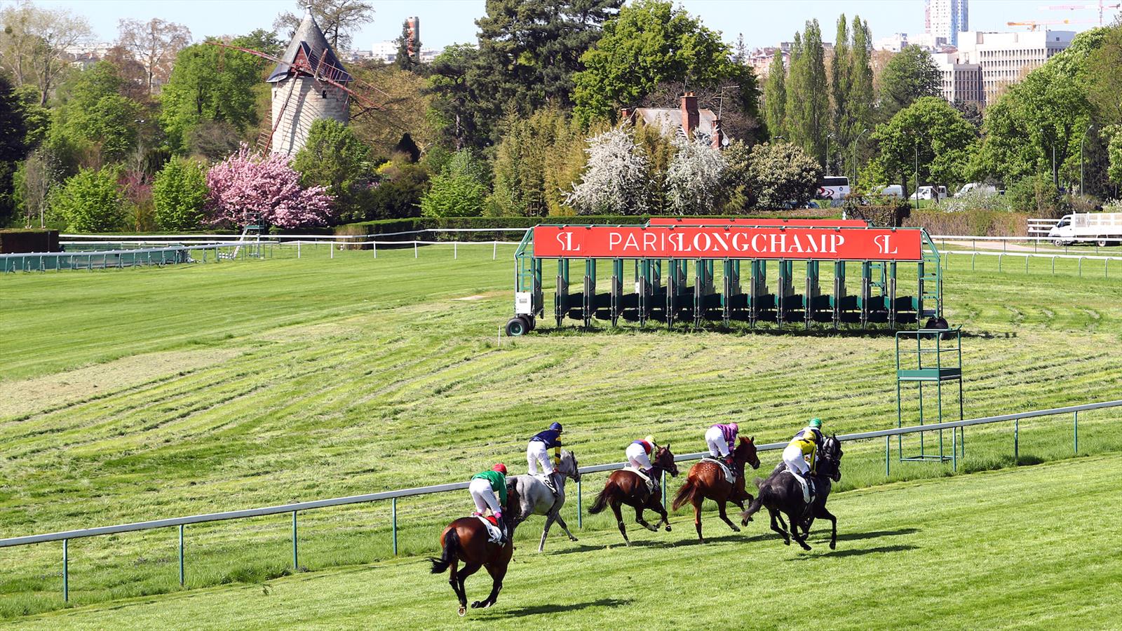 Paris Longchamp, c’est dimanche - Course hippique - Eurosport
