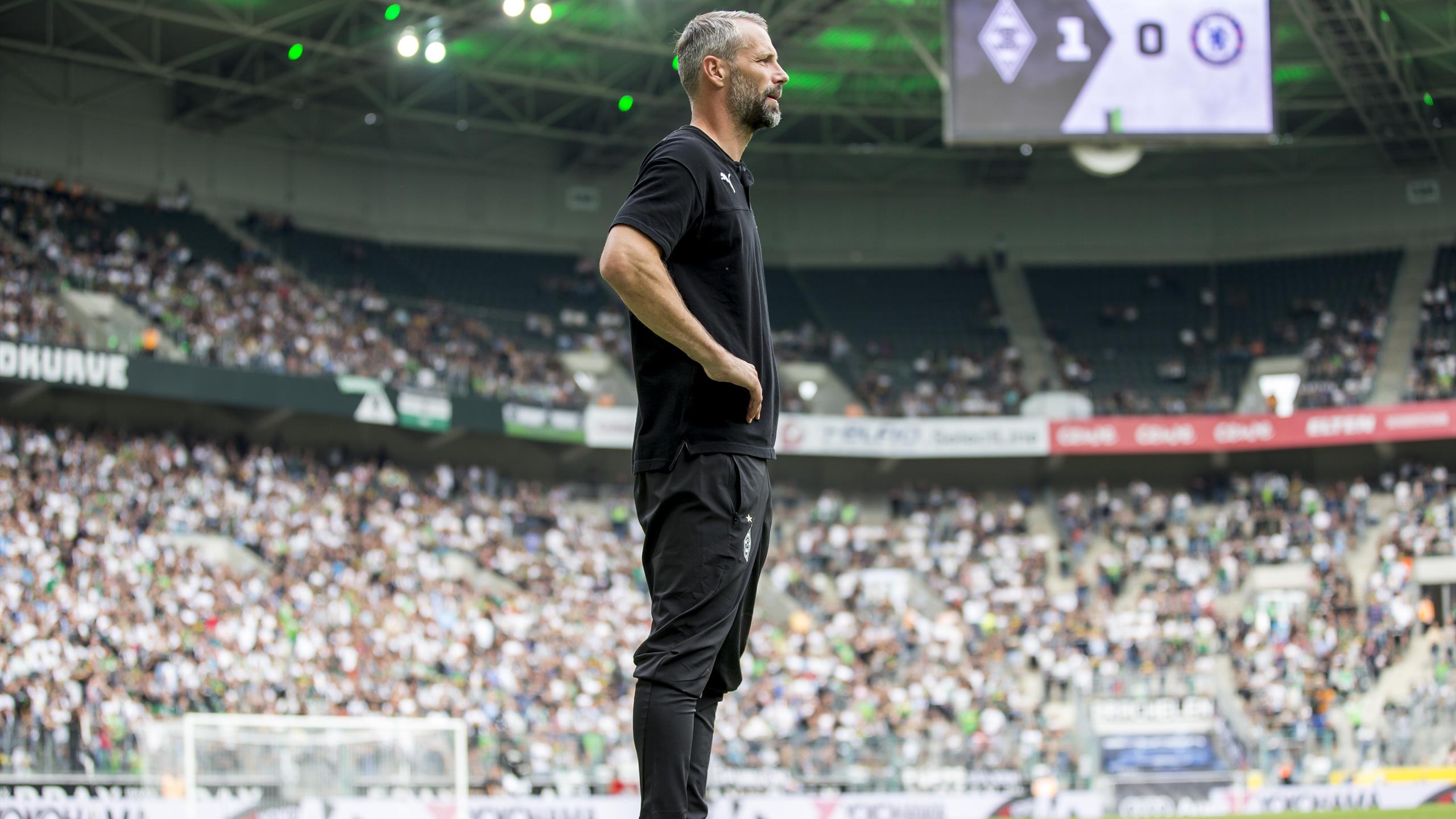 Gladbach: Das heiße Fohlen-Projekt in der Bundesliga unter Trainer Rose ...