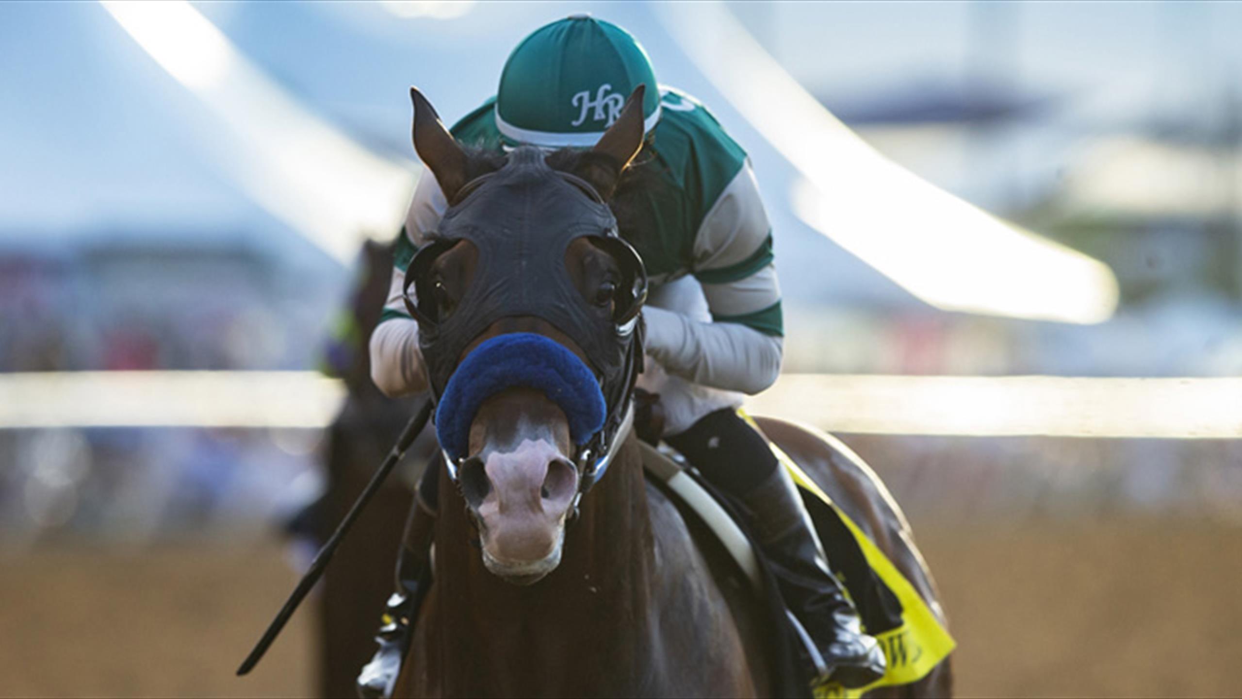 Les jockeys français ont toujours autant la cote à l’étranger - Course ...