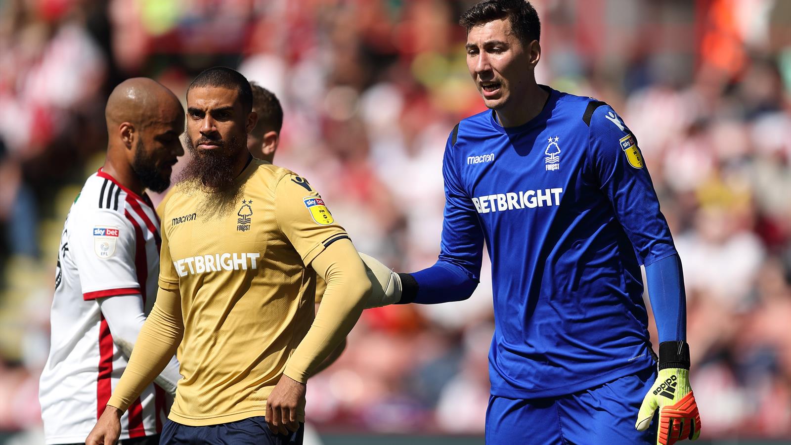 Costel Pantilimon - Player Profile - Fotbal - Eurosport