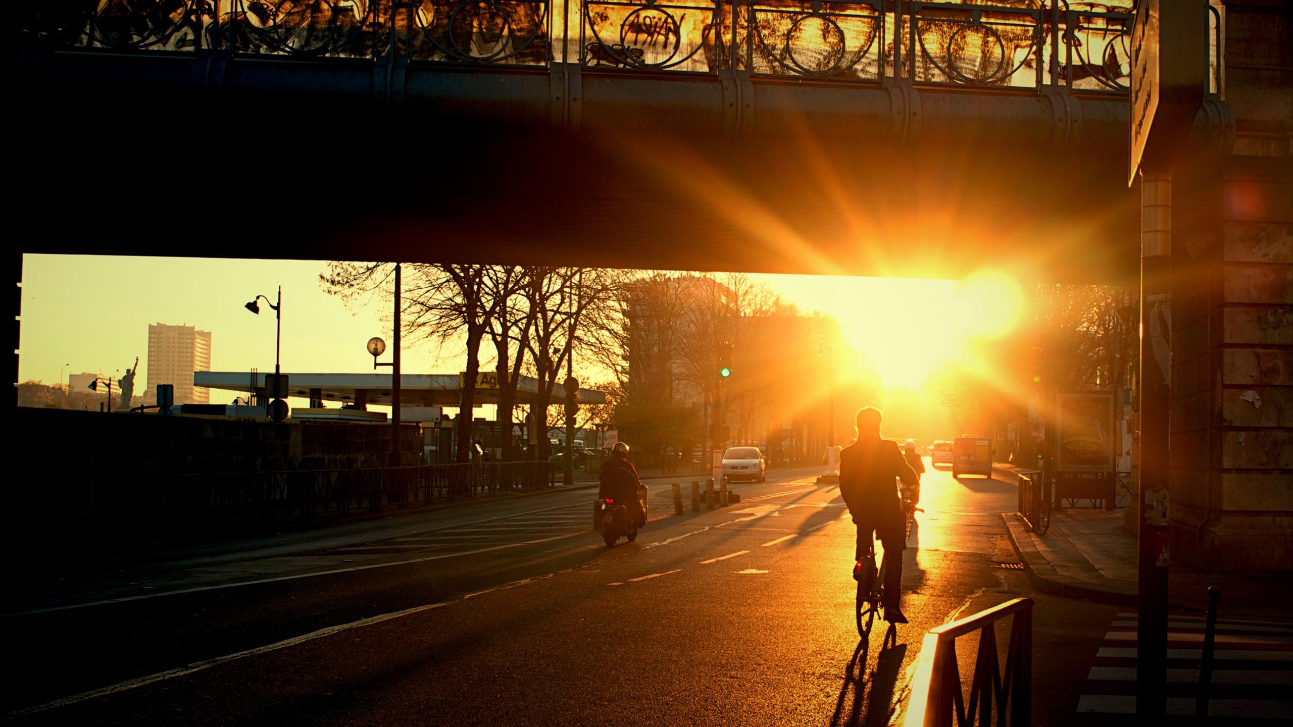 Comment le sport a aussi son mot à dire dans cette vague verte ...