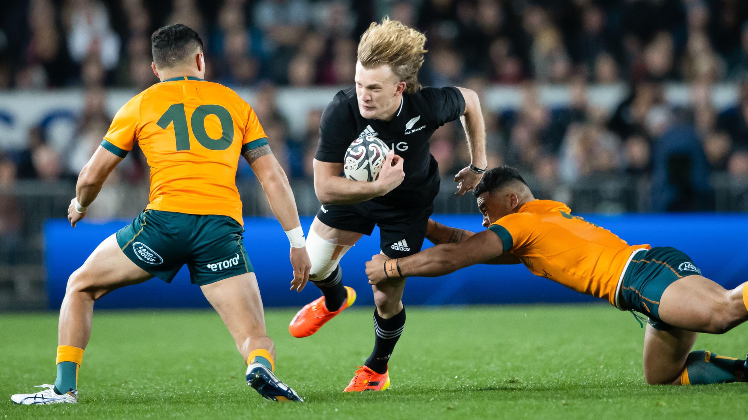 Rugby Championship : de grands changements chez les All Blacks - Eurosport