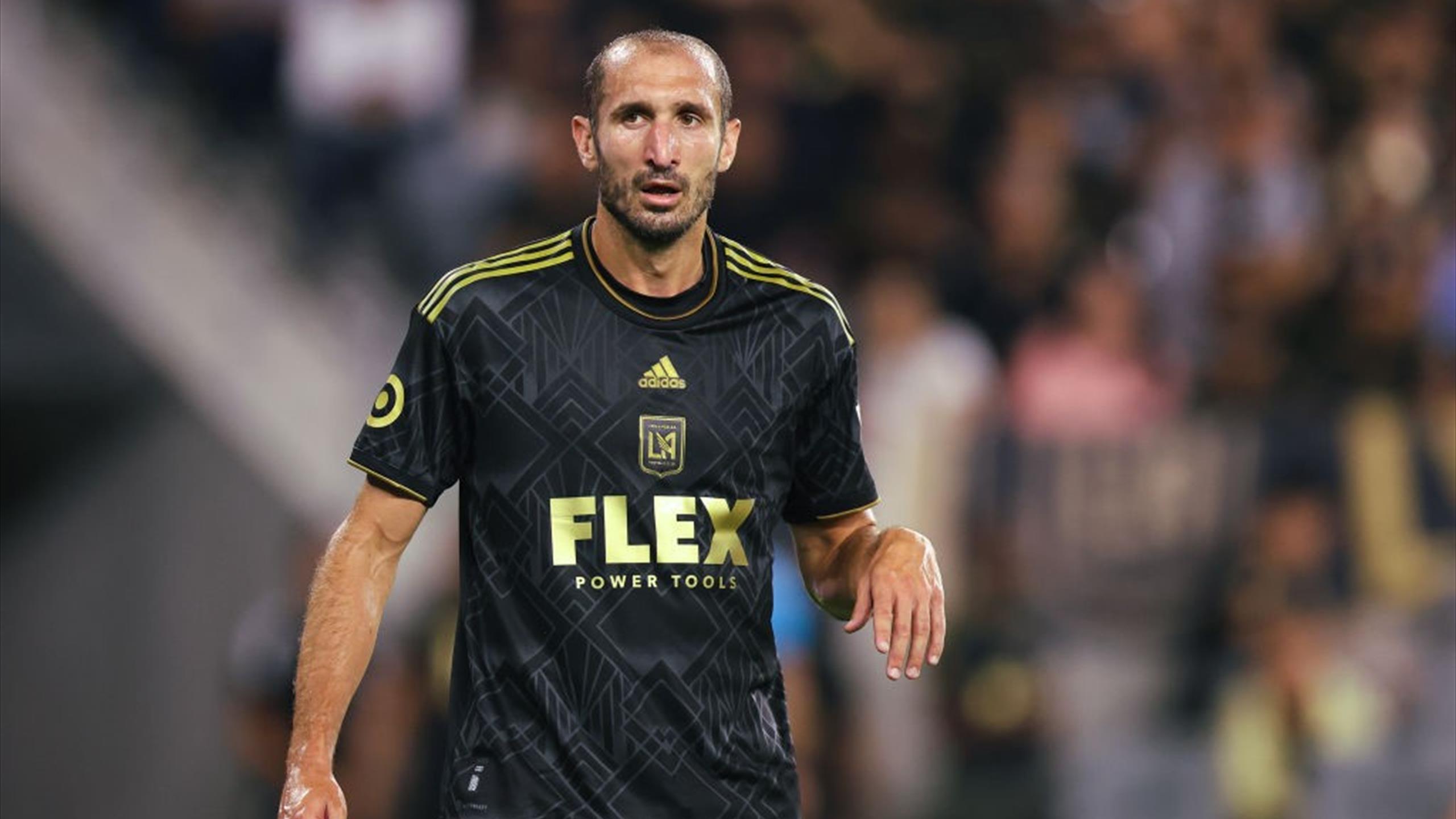 Chiellini: "Capire la Juventus di oggi non è facile, dopo il Mondiale ...