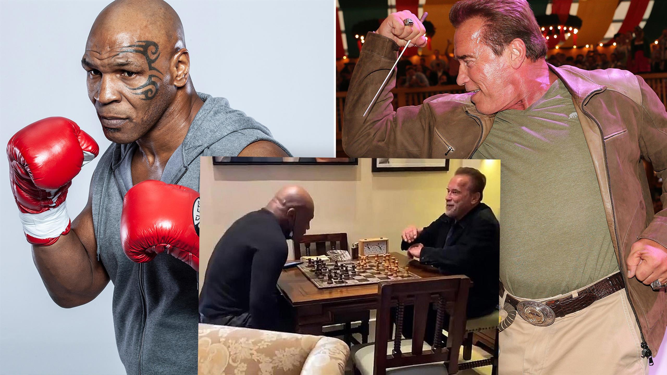 Arnold Schwarzenegger i Mike Tyson zmierzyli się na szachownicy - Eurosport