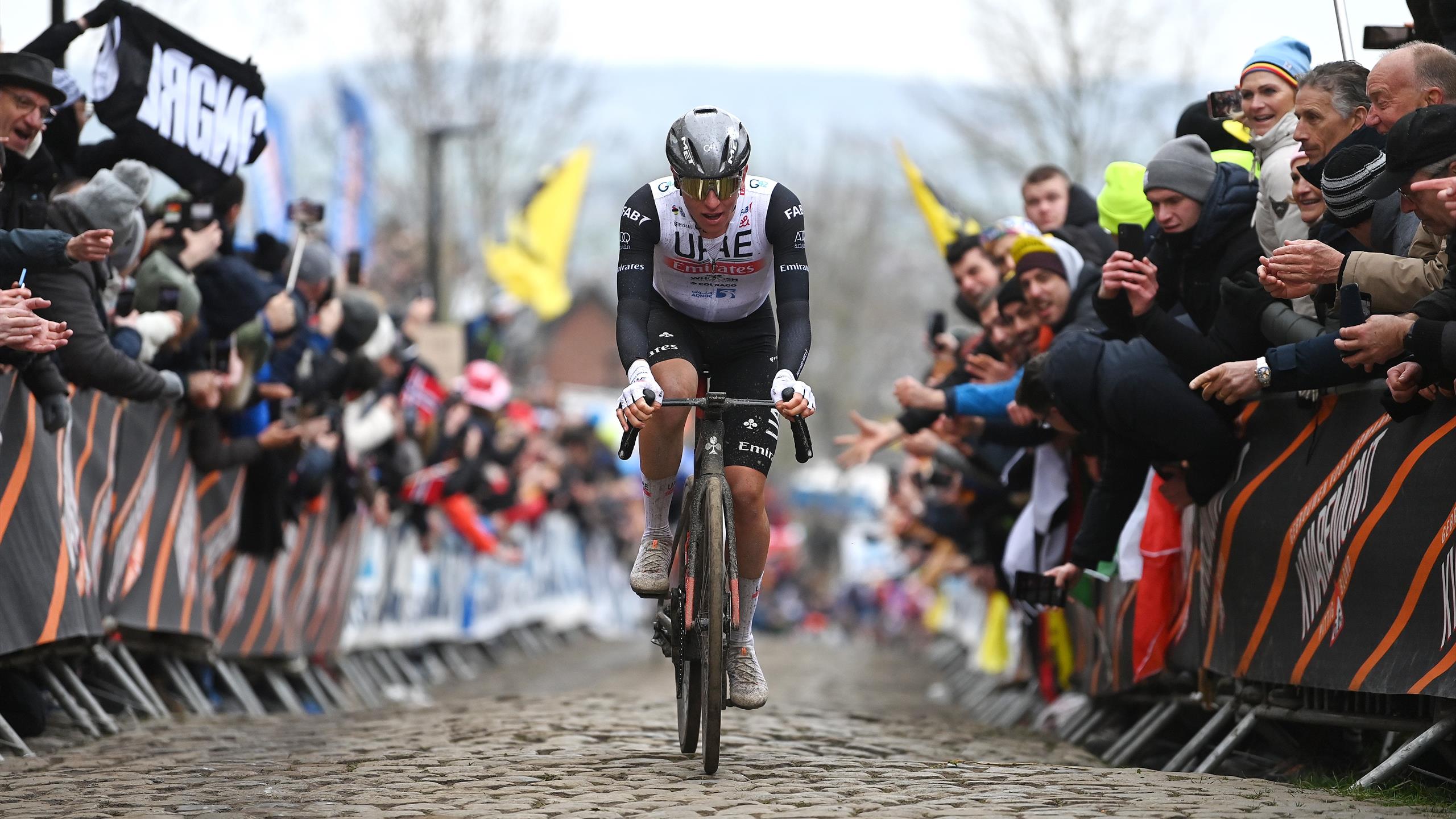 Ronde van Vlaanderen | Pogacar-effect of Belgisch bier-effect? Fan ...