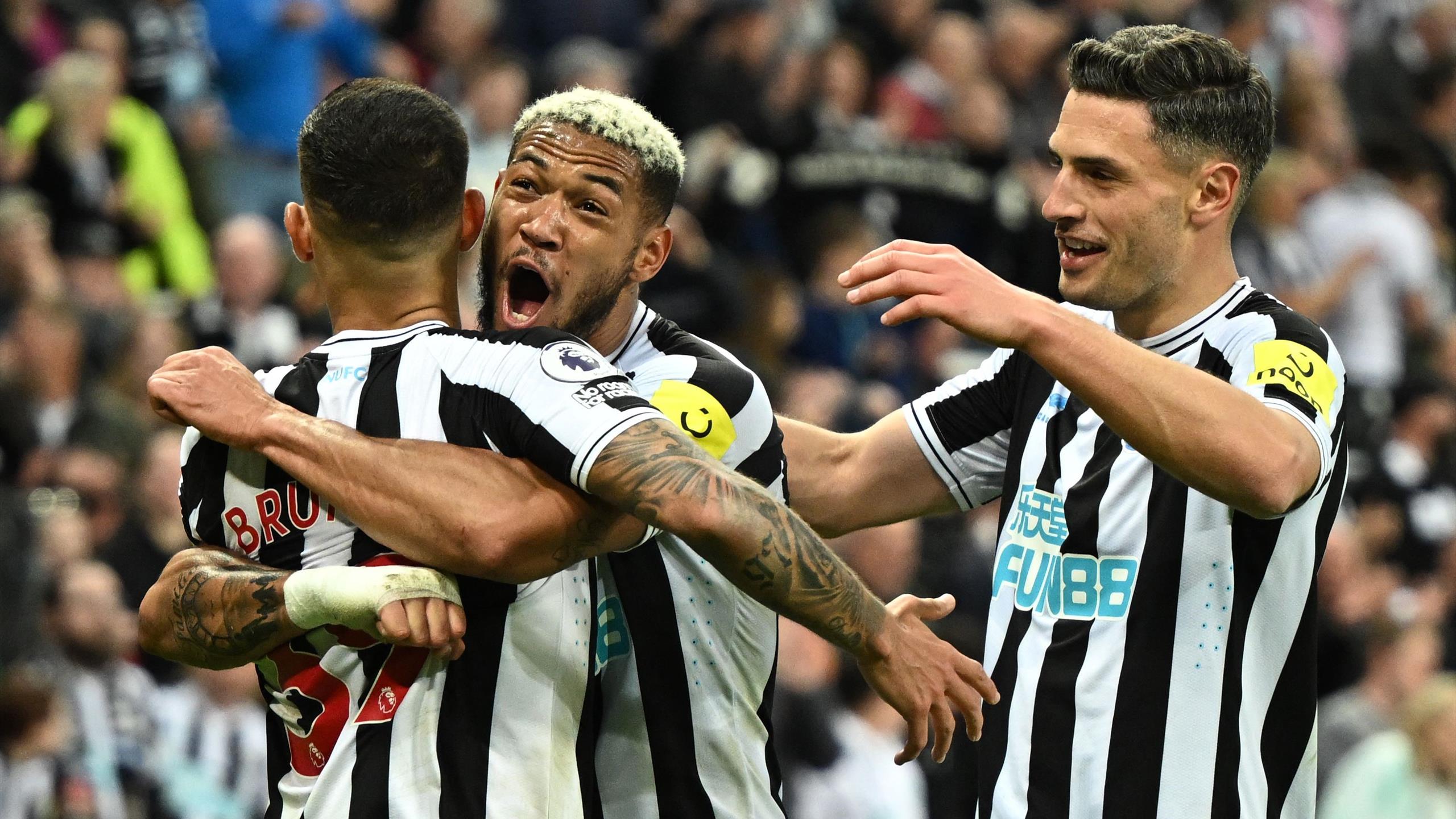 Premier League | Newcastle écarte Brighton et fait un grand pas vers la ...