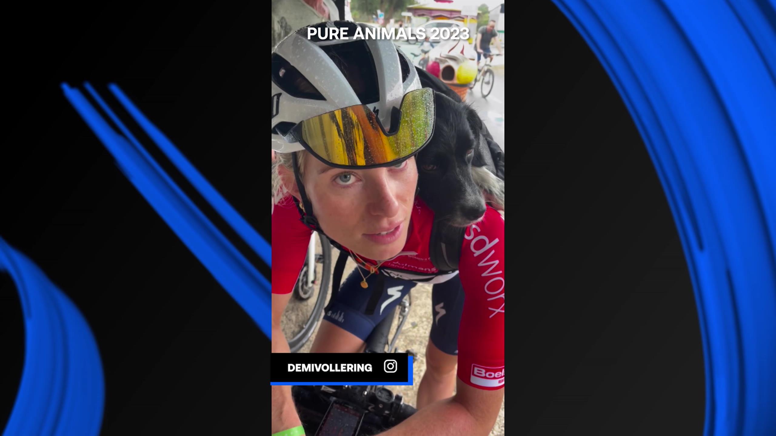 Caballos, muchos perros, algún pato, vacas... Los animales, también ...